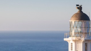 Home » Harbour Asset Management