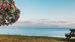 Home » Harbour Asset Management