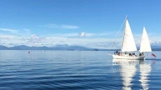 Home » Harbour Asset Management