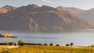 Home » Harbour Asset Management